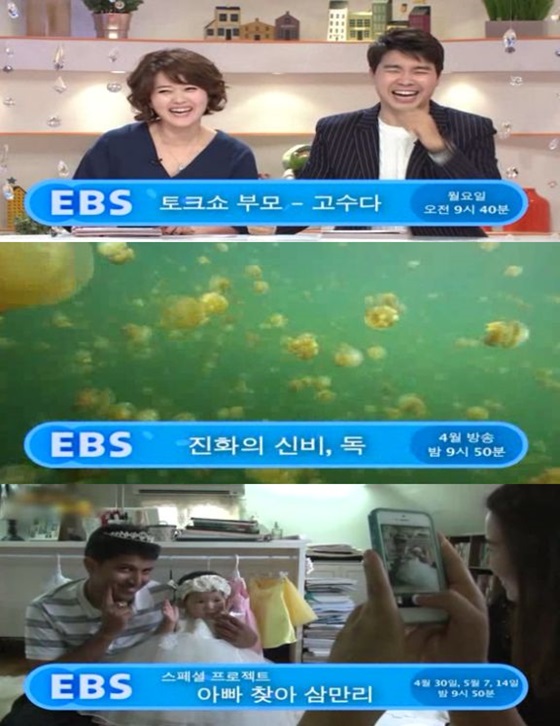 EBS, 2015 봄 개편 단행..새 프로그램 풍성 - 스타뉴스