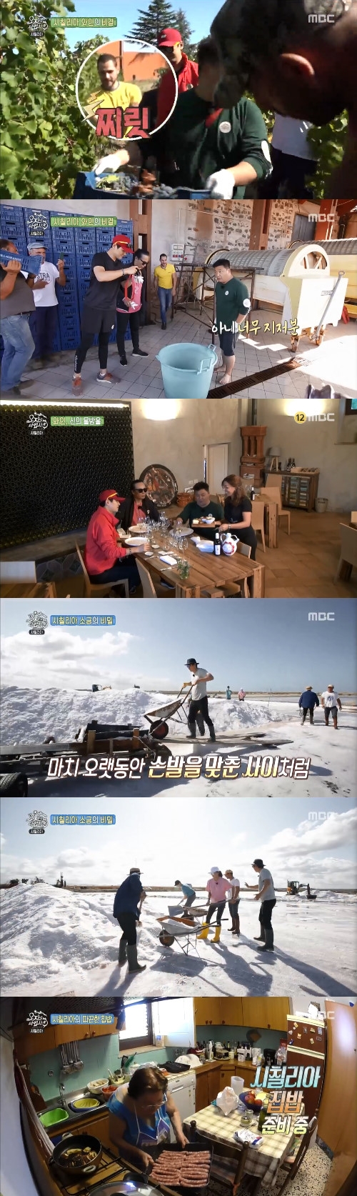 밤TView]'오지의마법사' 포도밭X염전 일꾼 변신 | 스타뉴스