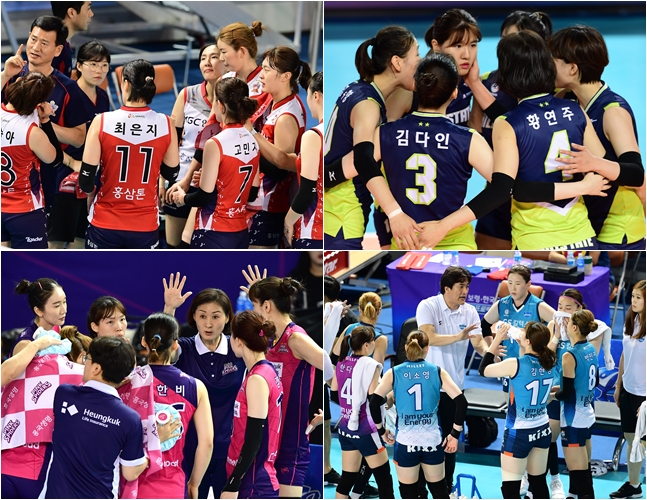 KOVO컵 4강 대진 완성! 인삼vs현대, GSvs흥국 - 스타뉴스