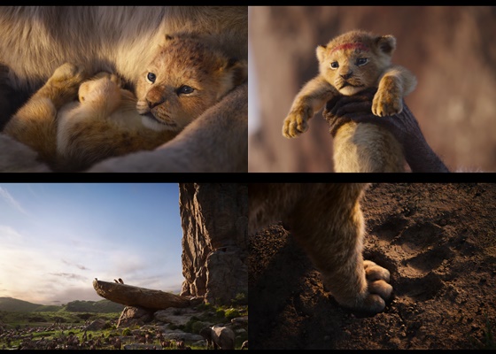 '라이온 킹', 60초 예고편 공개..압도적 비주얼 - 스타뉴스