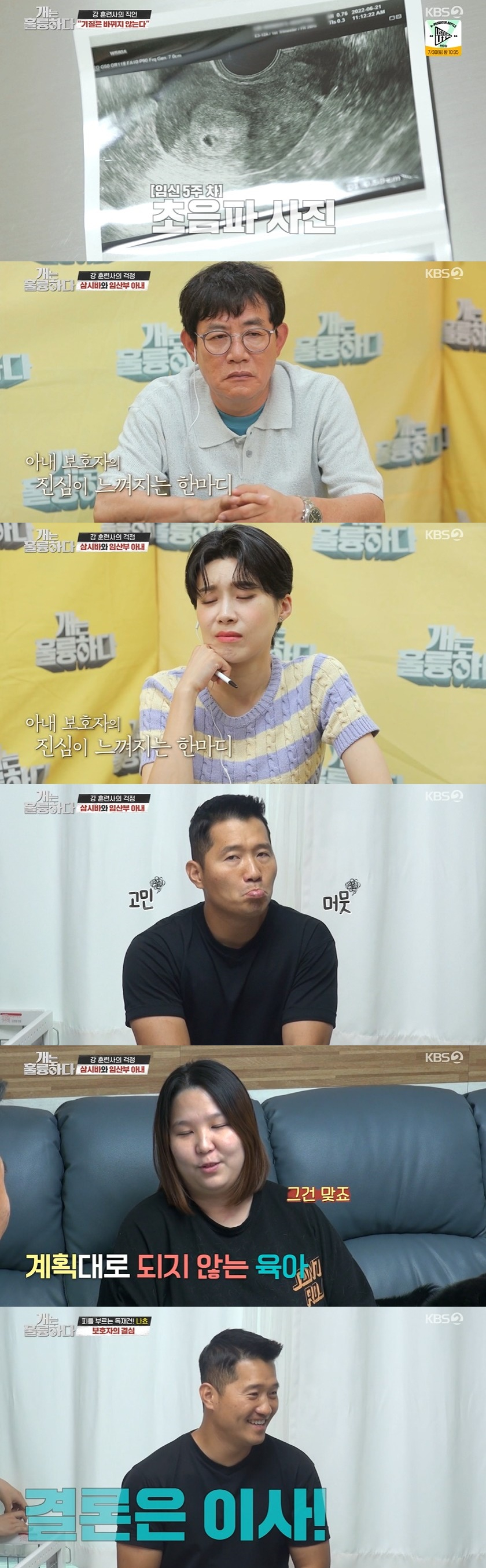 '개훌륭' 임신 5주차 보호자 "아이와 문제견 포기 못해"[★밤Tview] | 스타뉴스