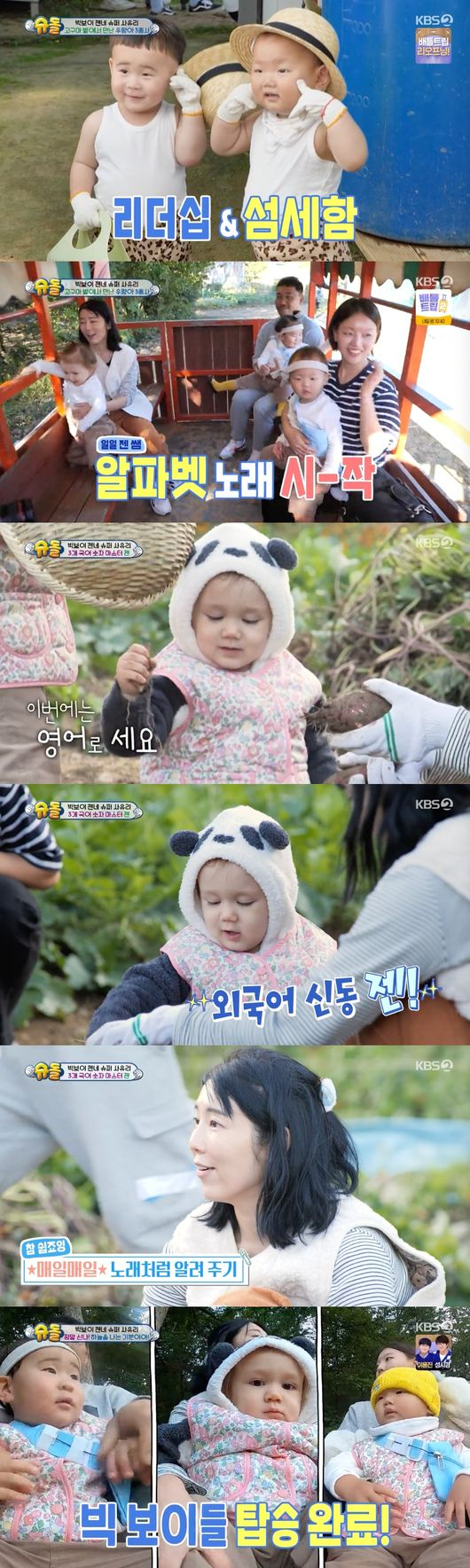 '슈돌' 사유리 子, 3개 국어로 숫자 세기 '척척'..언어 천재네 [★밤TView] | 스타뉴스