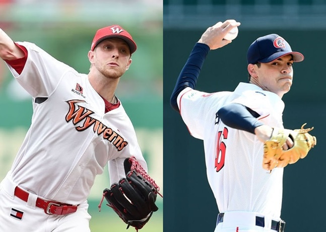 2006년 2명→2023년 11명... WBC에서 KBO 출신 더 많이 본다 | 스타뉴스