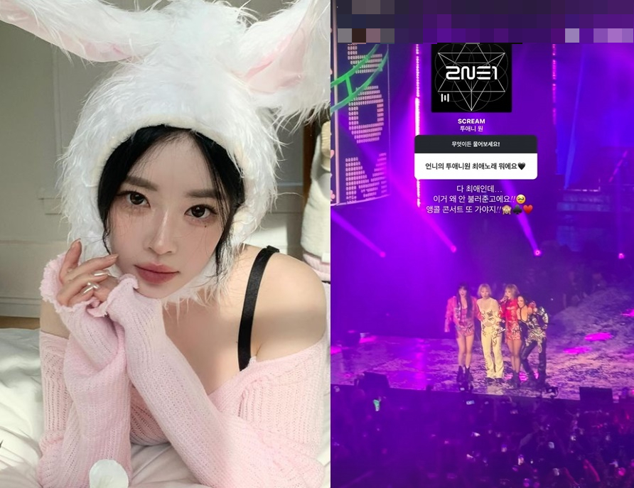 '승리 열애설' 유혜원, 2NE1 콘서트 직관했네..뗄수 없는 YG 인연 | 스타뉴스