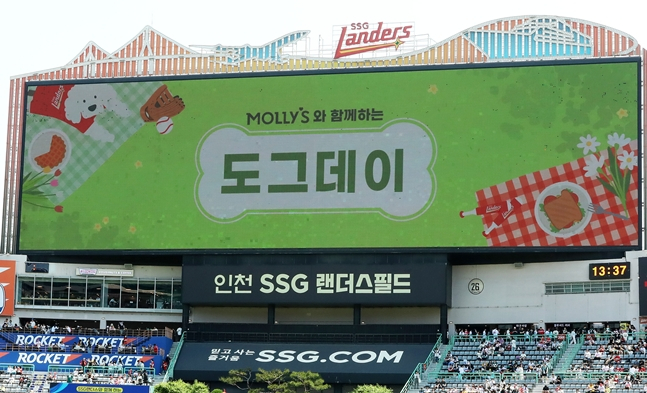 '도그데이' SSG, LG와 홈 경기서 시즌 8번째 매진→이틀 연속 완판 | 스타뉴스