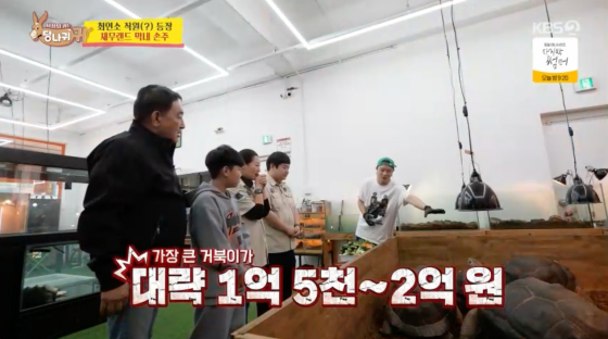 '190억 빚' 임채무, 아웃사이더 '2억' 거북이에 충격.."밥값만 300만 원"[사당귀][★밤TView] | 스타뉴스