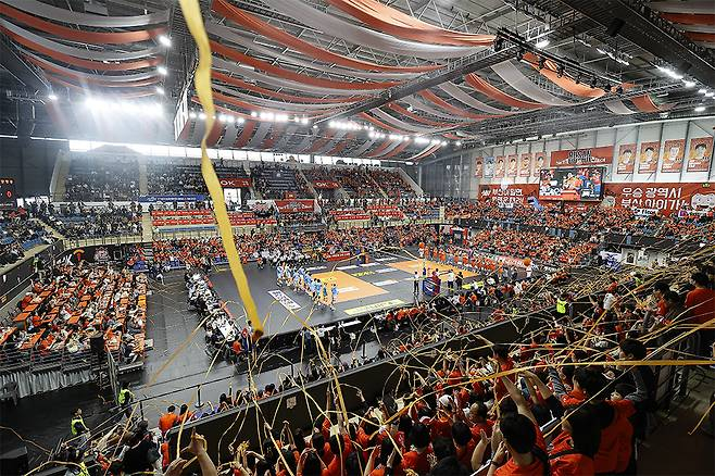 'Busan volleyball fever is hot' OK Savings Bank 'No. 1 in spectators ...