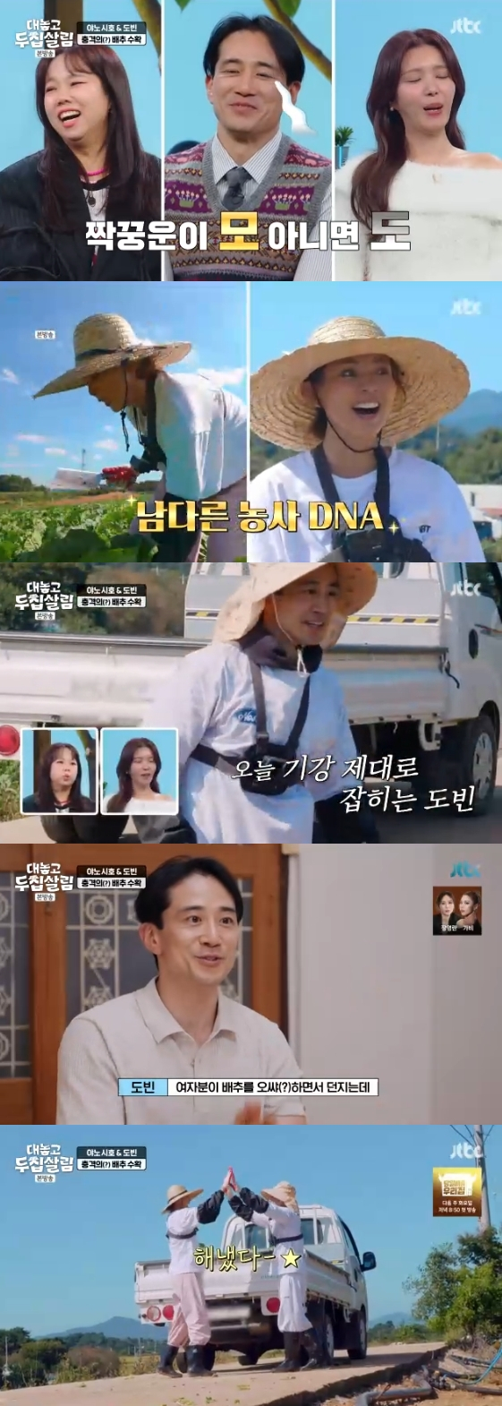 '추성훈 ♥' 야노 시호, 백도빈 기강 잡았다..타고난 농부 DNA 자랑[두집살림][★밤TView] | 스타뉴스