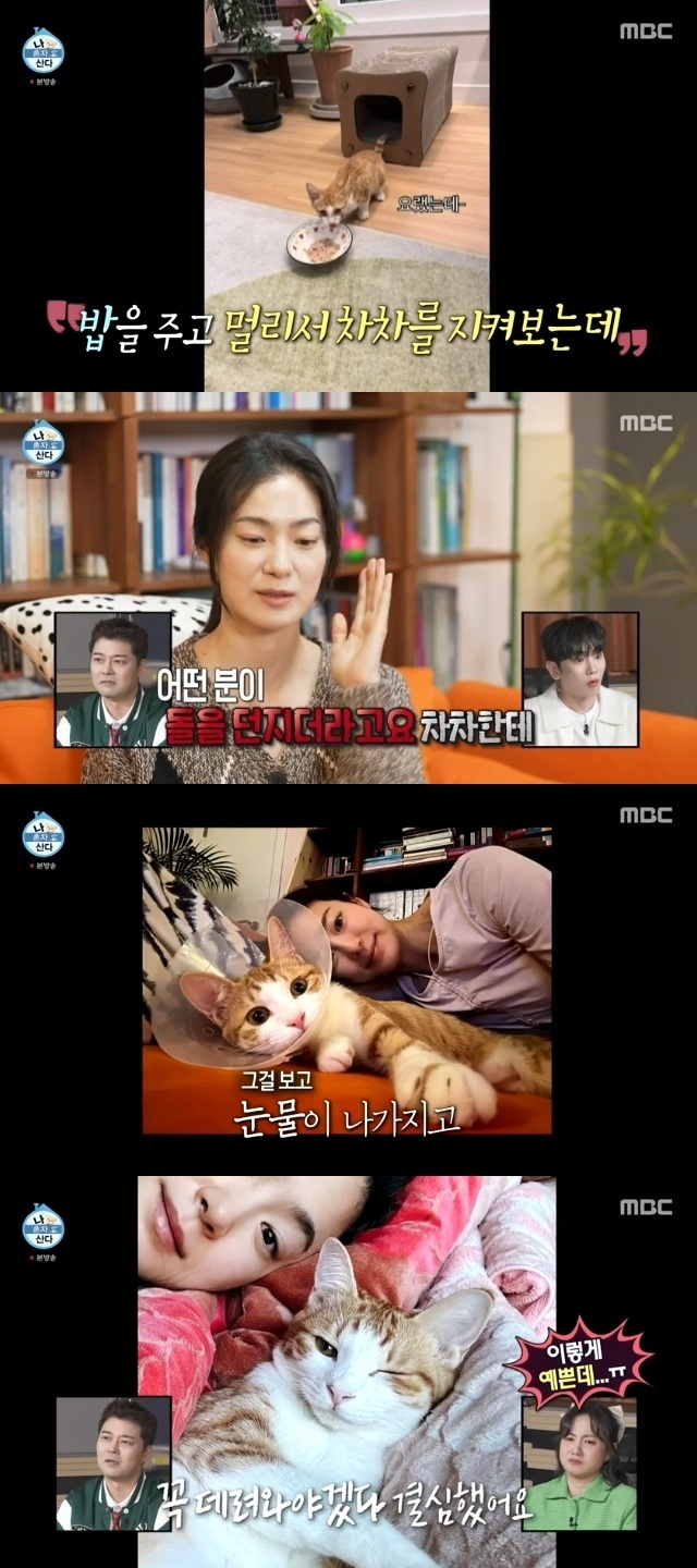 Actress Ok Ja-yeon Earns Praise for Adopting Rescued Cat with Visual ...